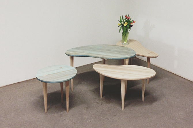 Kidney Tables - elenaramirez