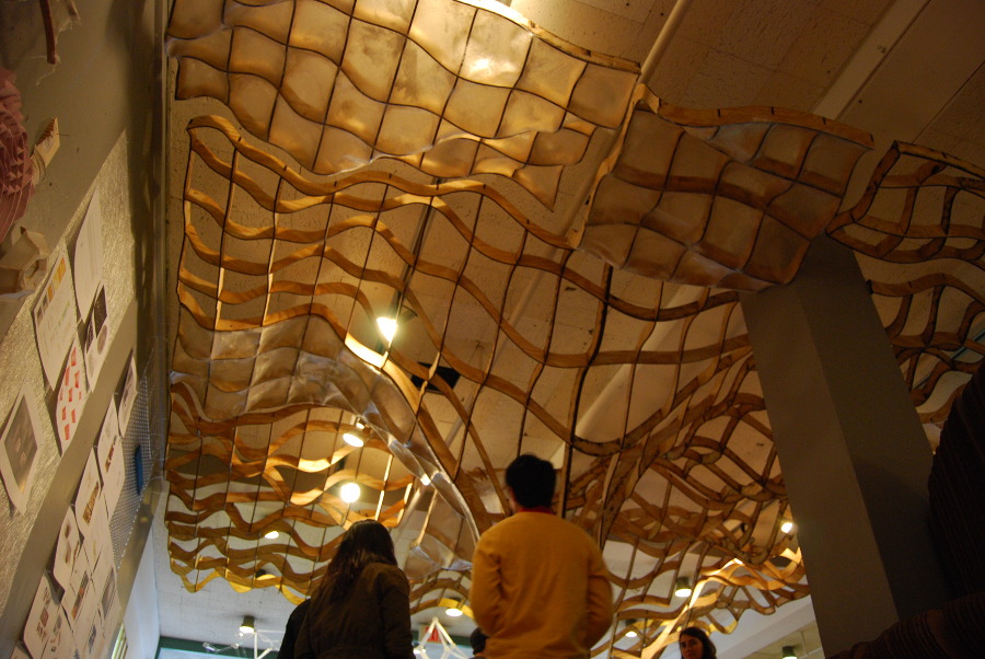 Wave Ceiling Installation - Archidactyl