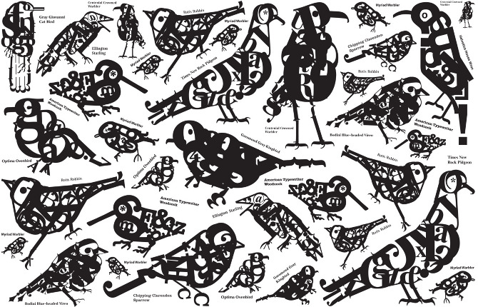 Bird Migration Project - Matt Bourque Design