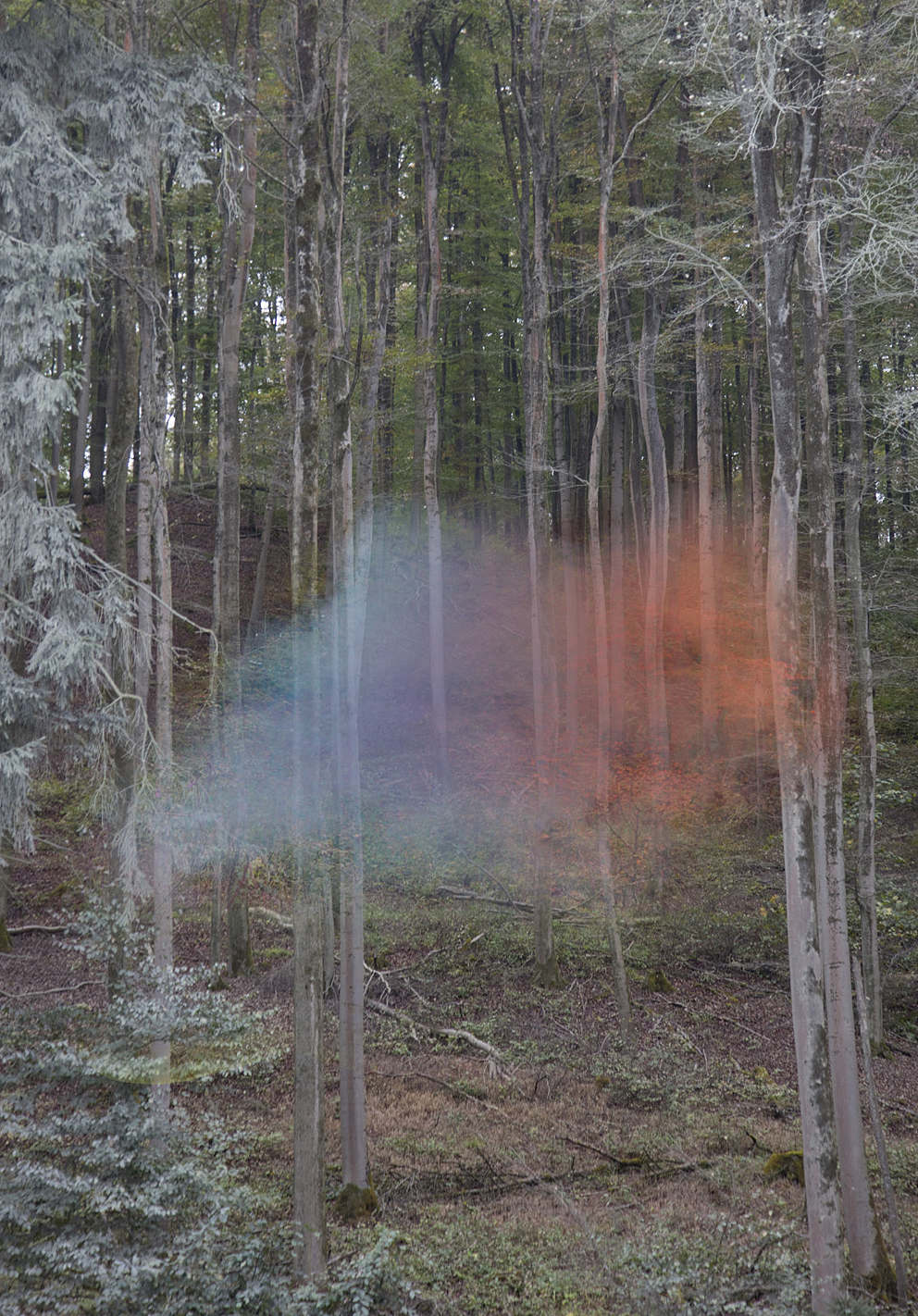 the color project - Henrike Stahl Photography