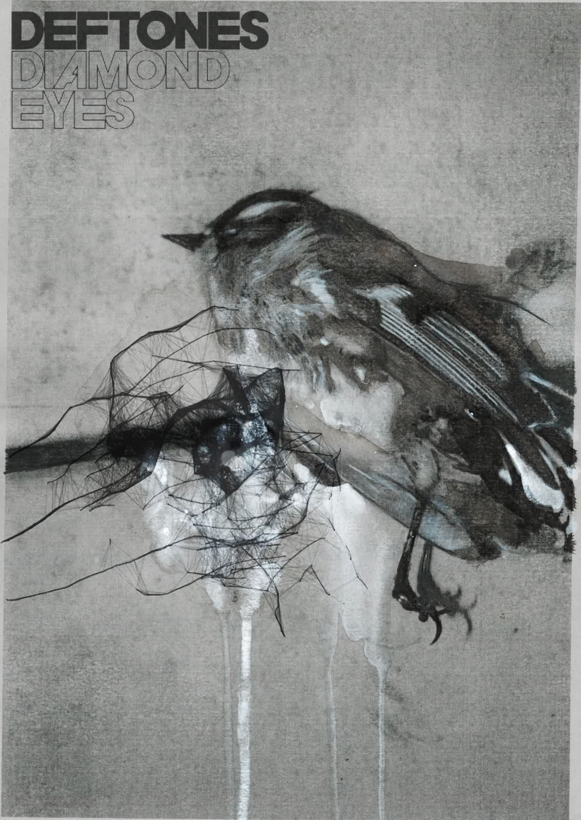 Deftones: Diamond Eyes - holly goodwin illustration