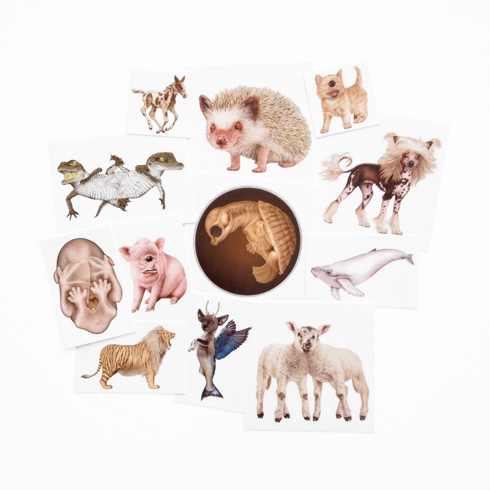 Weird but true: Extraordinary Animals - Ferdy Remijn