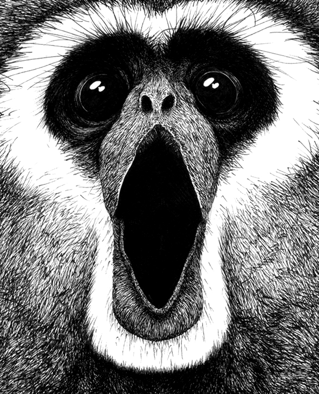 Animal typeface - Ferdy Remijn