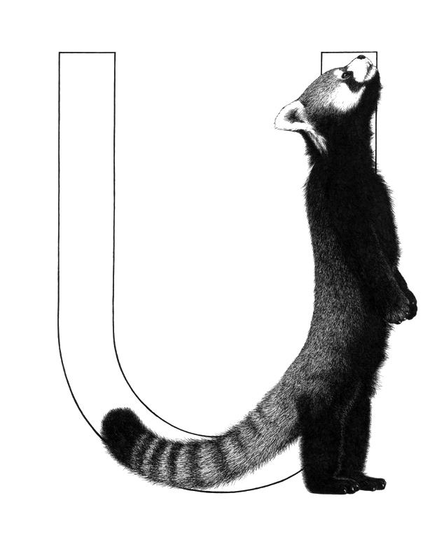 Animal typeface - Ferdy Remijn