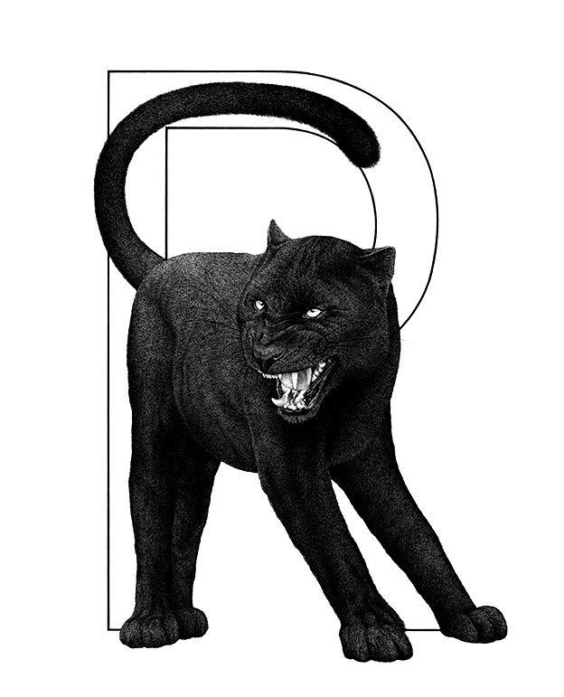 Animal typeface - Ferdy Remijn