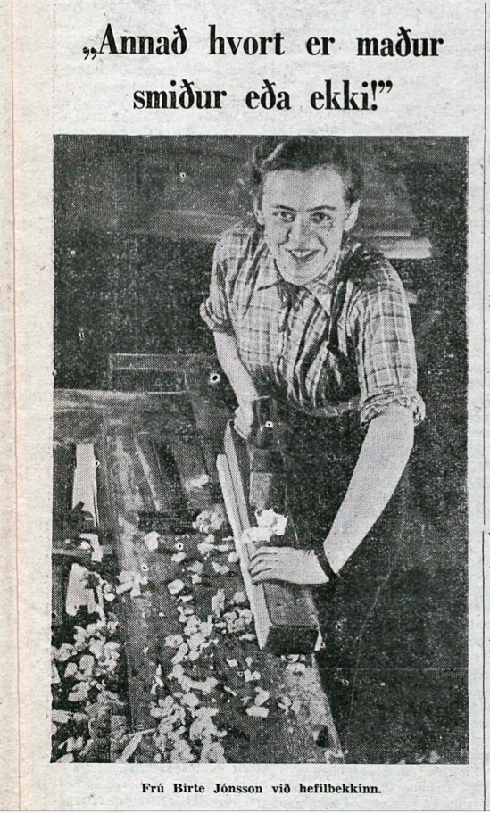 BIRTA - cannibalisemodernism