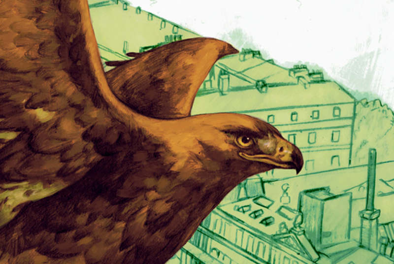 Thomas Softley Illustration