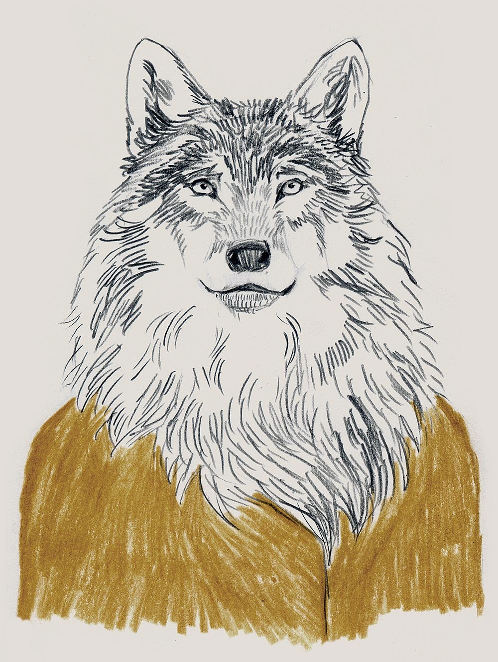 WOLF Crew Portraits - Claudia Schramke