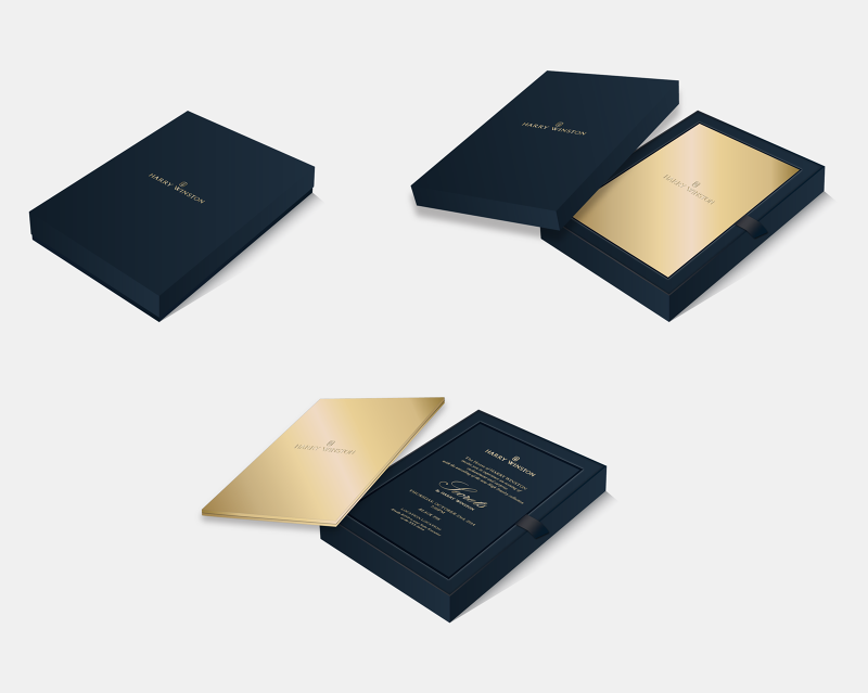 Harry Winston Press Kits & Gifts - Eileen Park