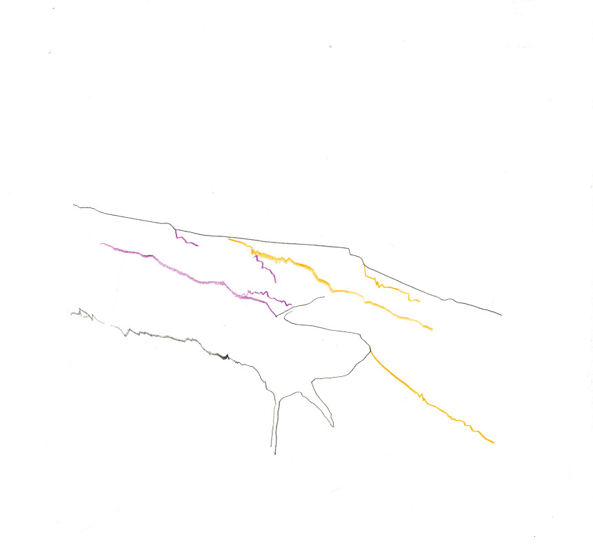 Structure within natural and man-made forms - Jasmin Odell