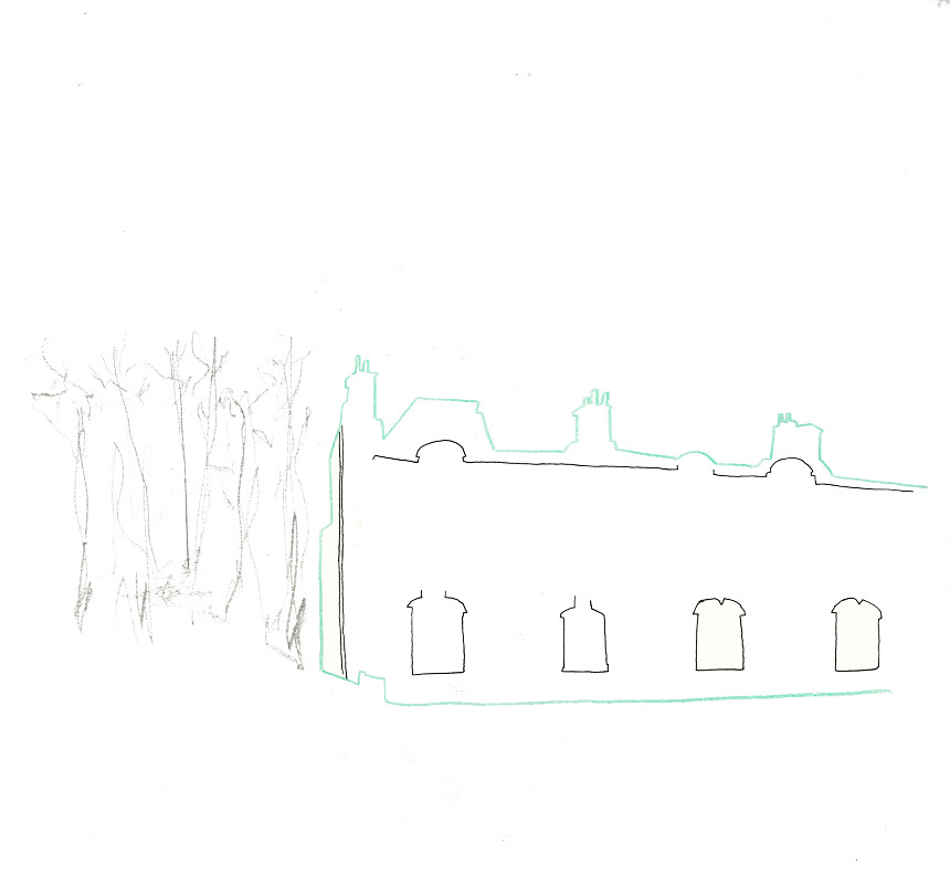 Structure within natural and man-made forms - Jasmin Odell