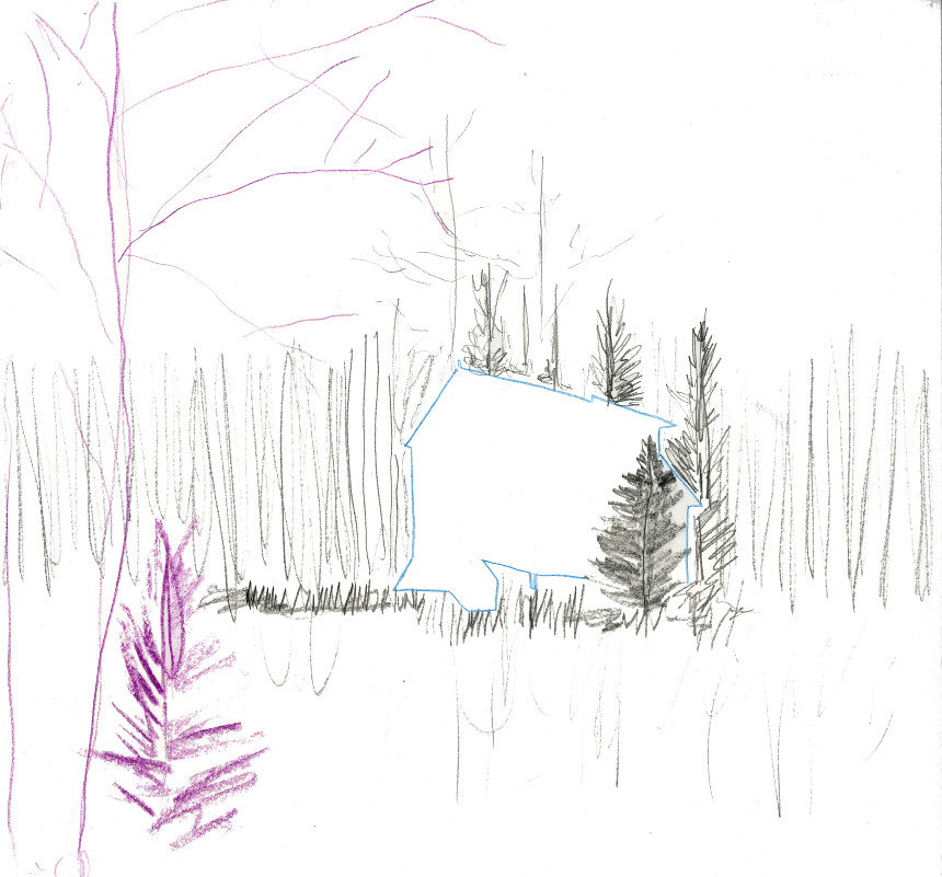 Structure within natural and man-made forms - Jasmin Odell