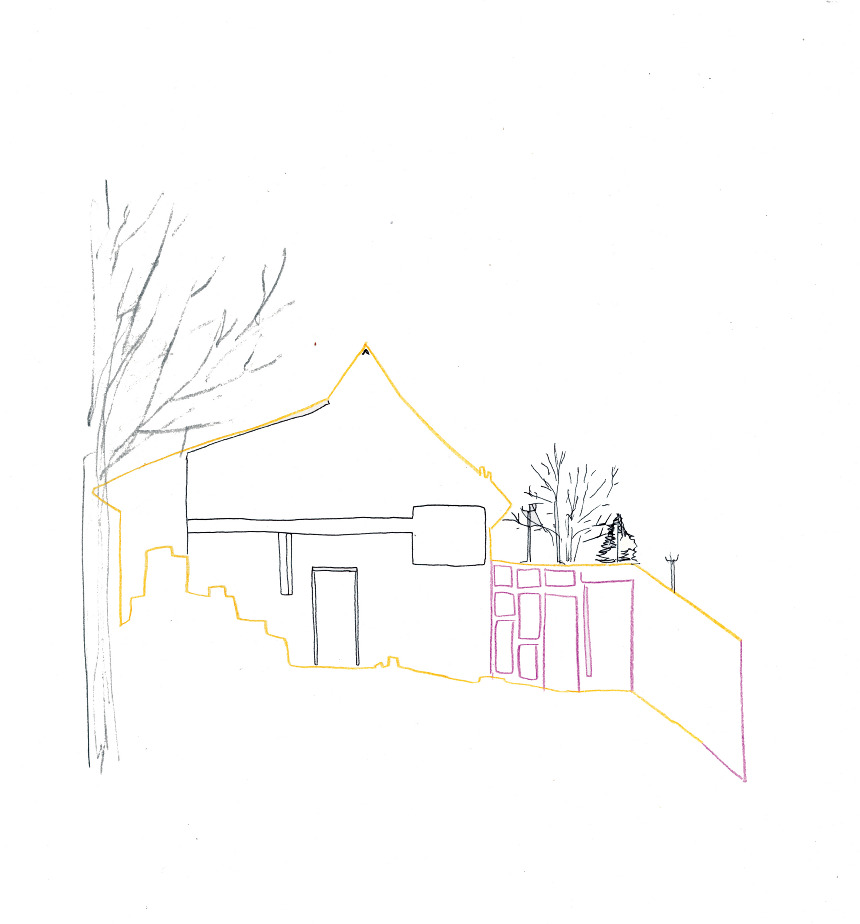 Structure within natural and man-made forms - Jasmin Odell