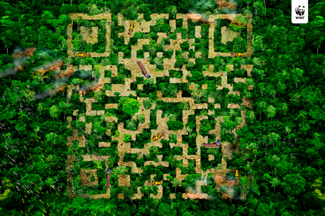 QR Code / WWF - jucaru