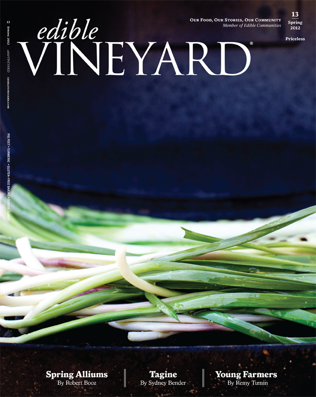 Art Direction - carrie gee