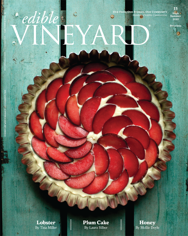 Art Direction - carrie gee