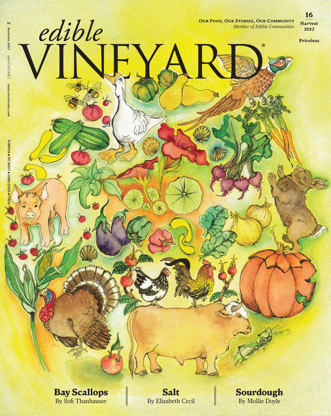 Art Direction - carrie gee