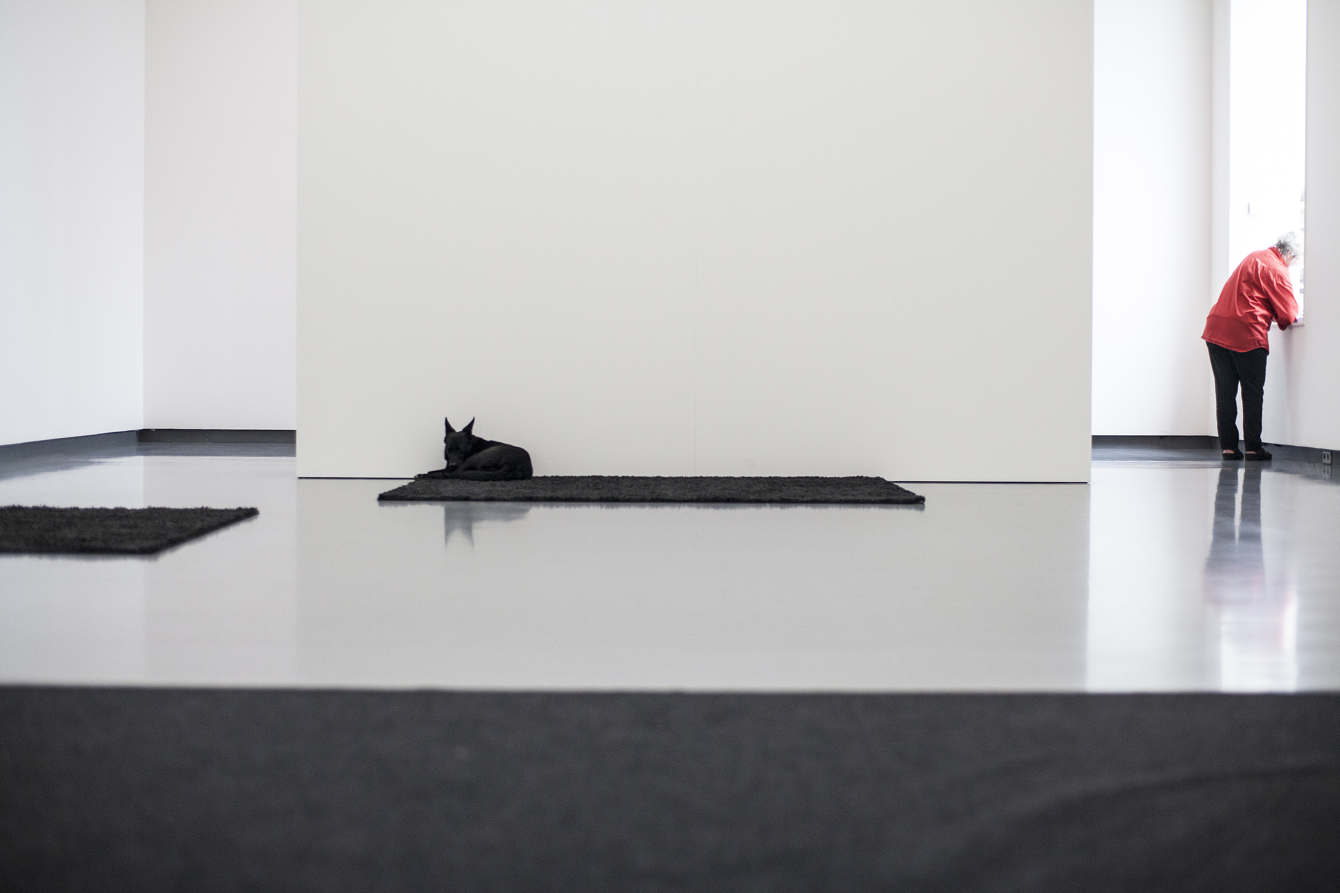 The elephant in the room - www.alejandroceron.com