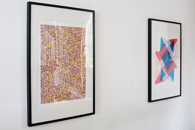 Exhibitions - Hector Plimmer