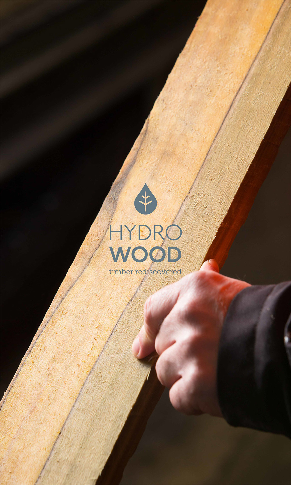 HYDROWOOD - www.michaeltravalia.com