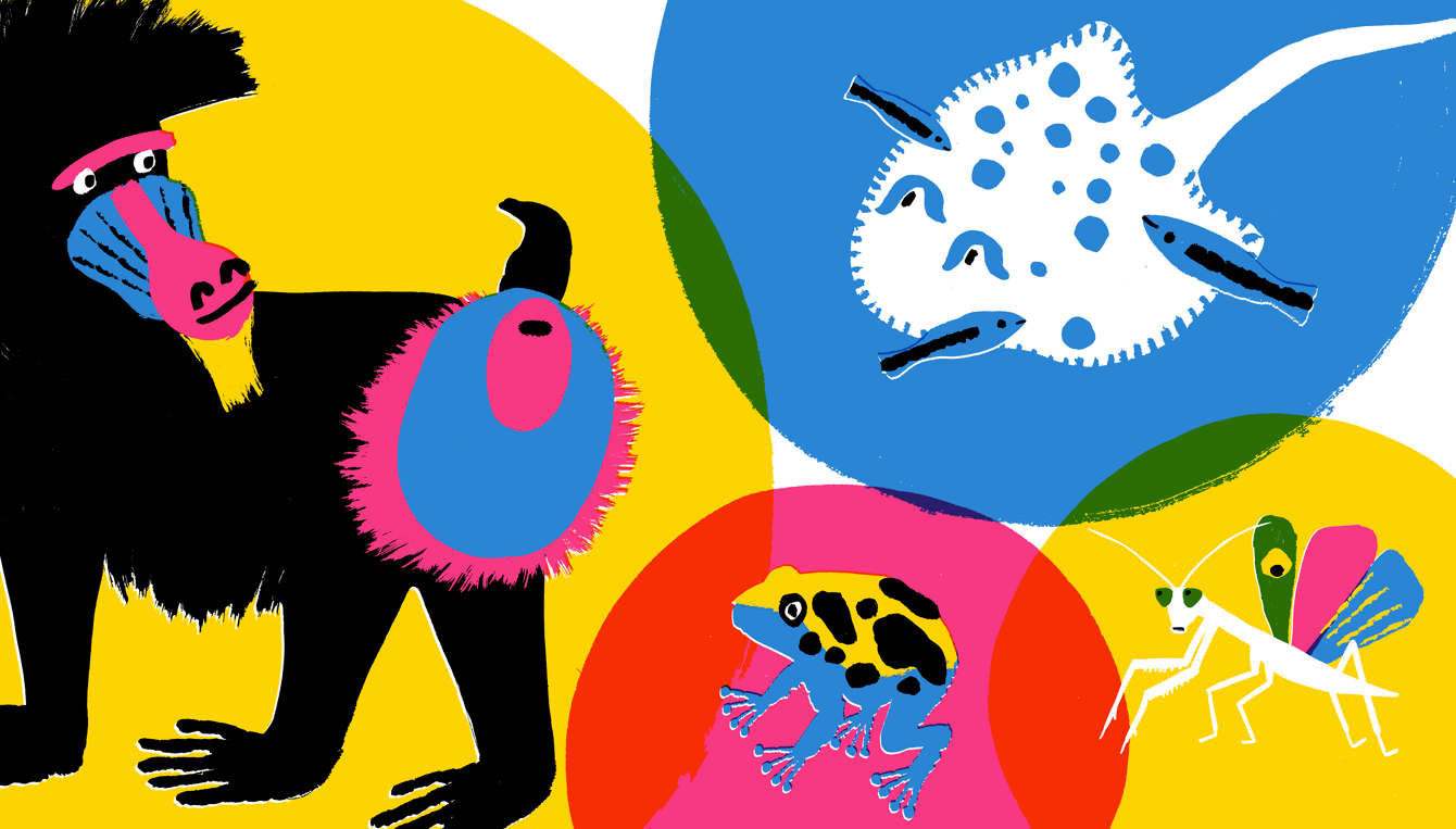 Yuliya Gwilym illustration & storytelling