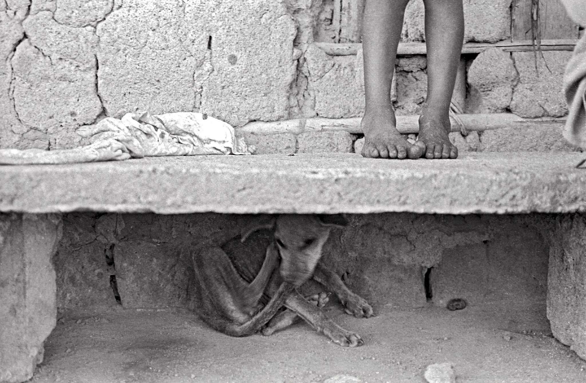 Register l - 1998 - Thomas Baccaro