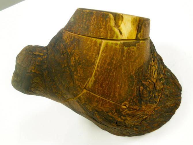 Tree Puzzles - Samuel S. T. Pressman Art