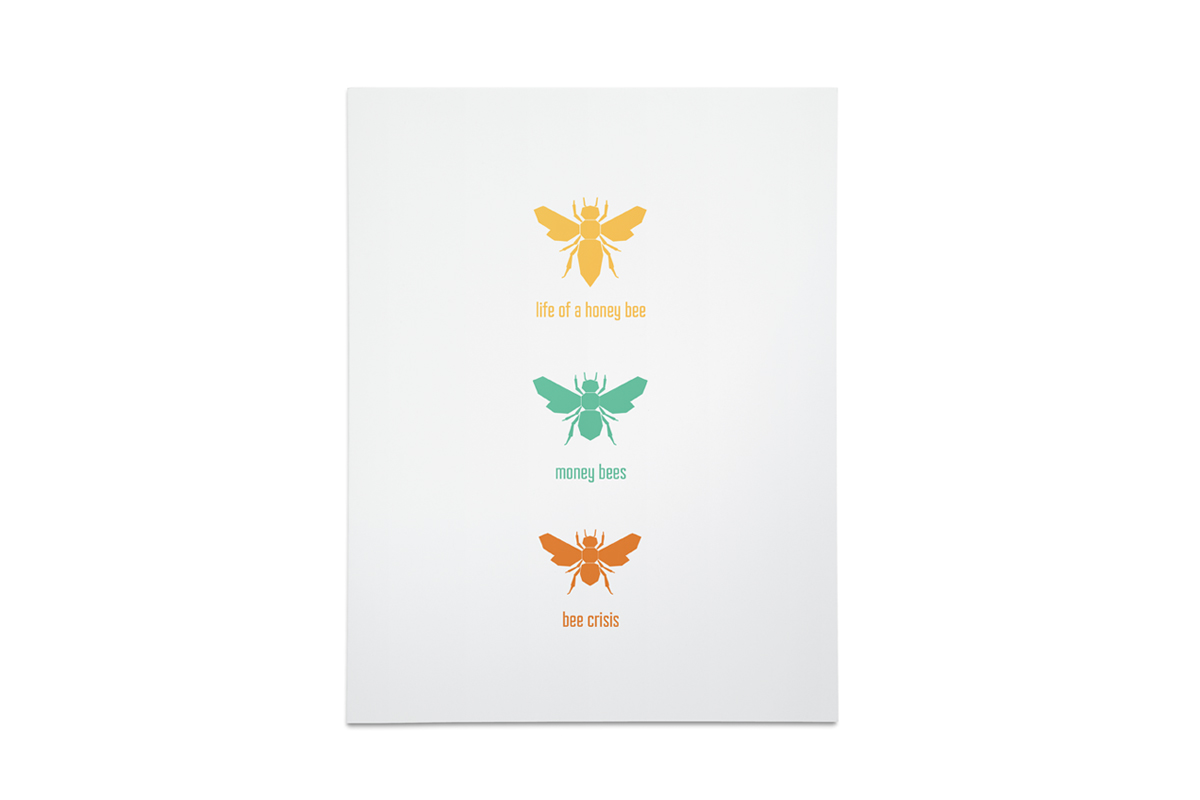 Honey Bees Data Visualization - Jamie Martin