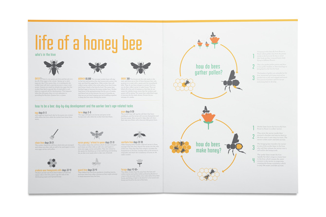 Honey Bees Data Visualization - Jamie Martin