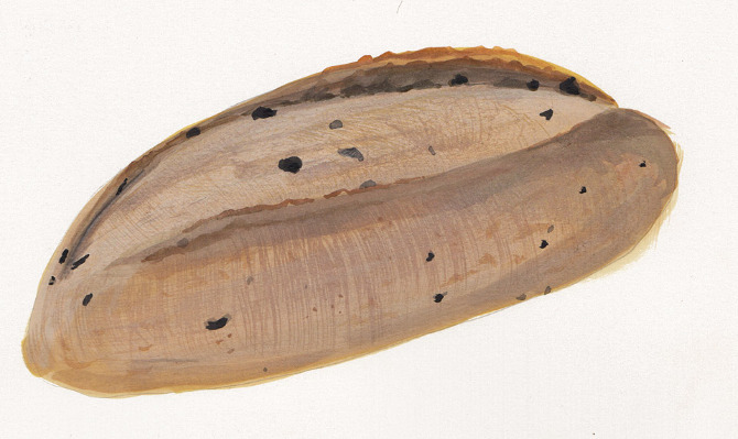 Food - Alice Feaver