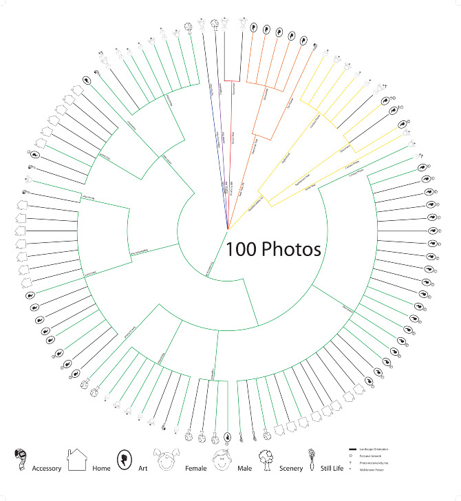 Data View(Mobile App) - Adam Lowe Design