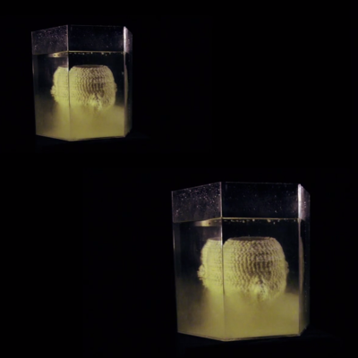 Pill Head - mitchellcraft