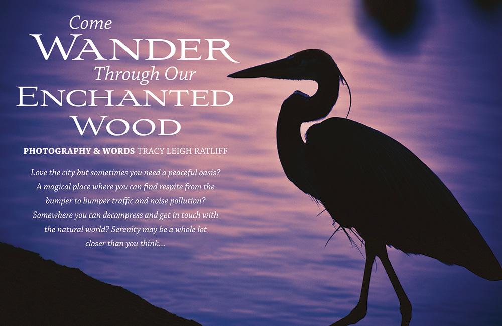 LATEST FEATURED PROJECT - MAGAZINE SPREAD LAYOUT - www ...