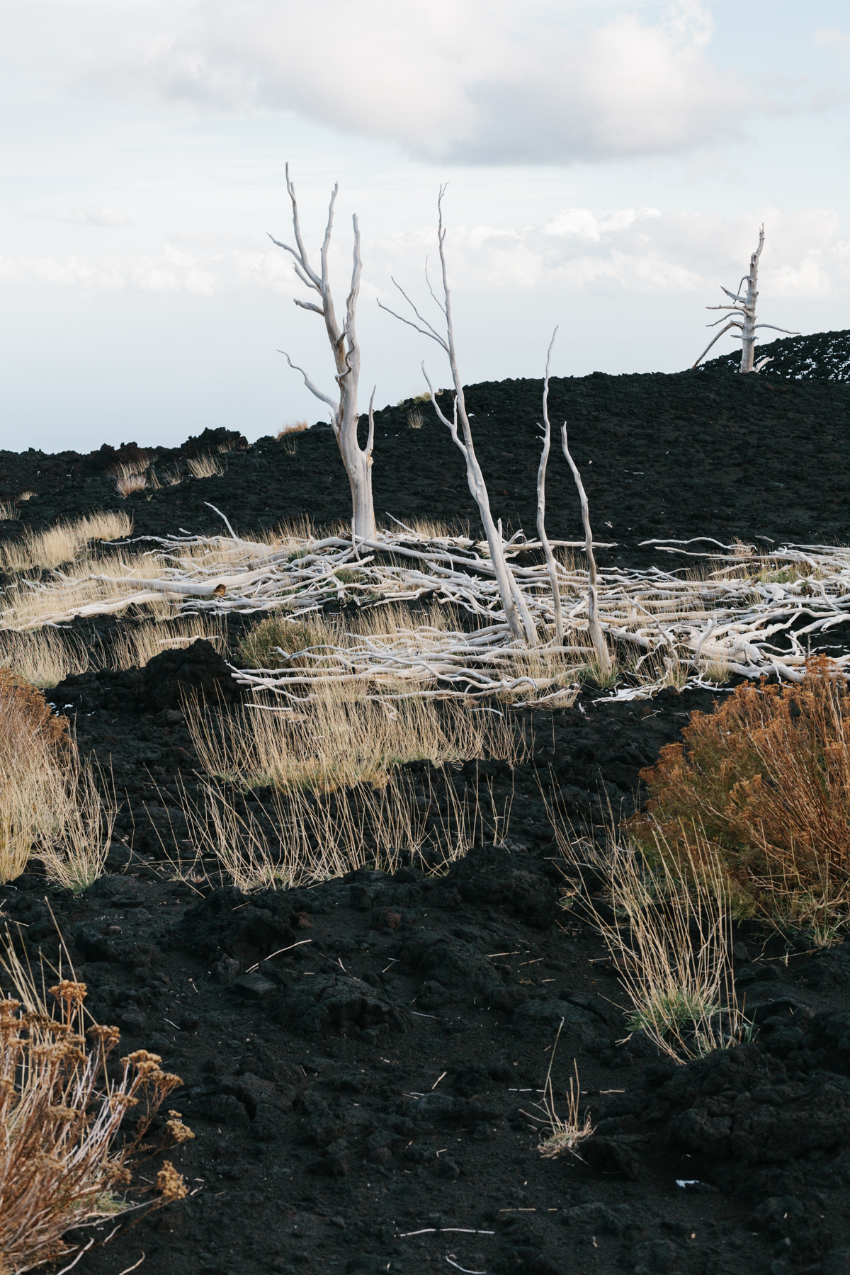 The Lava Project - Luisa Zanzani