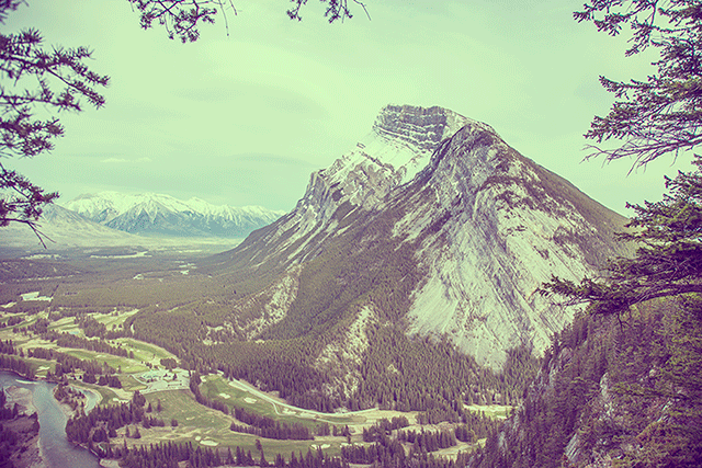 Photo Animations - davidcopithorne