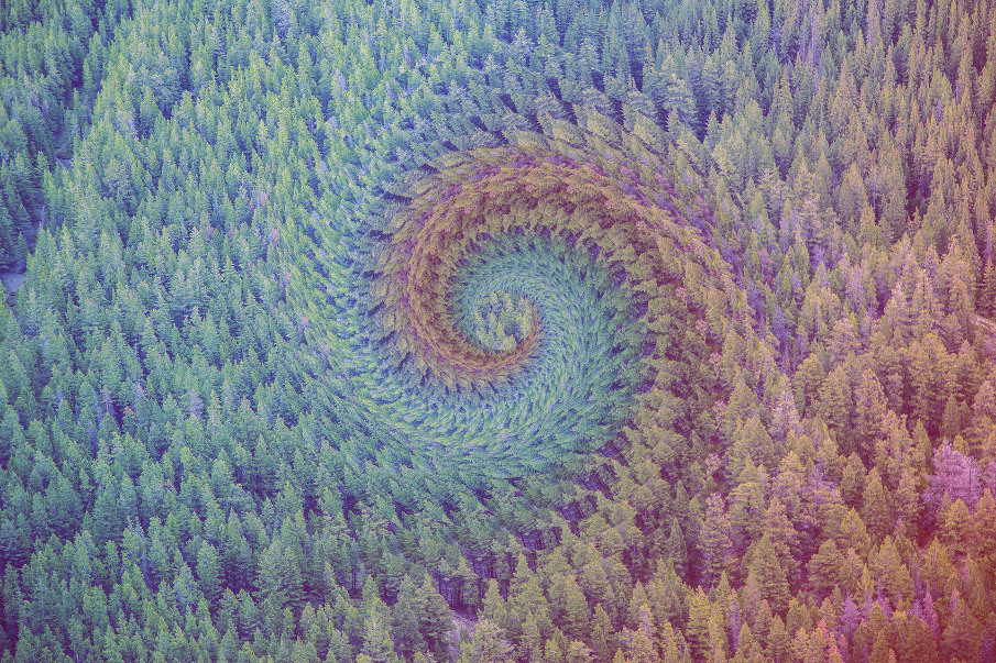 Twisted Photography - davidcopithorne