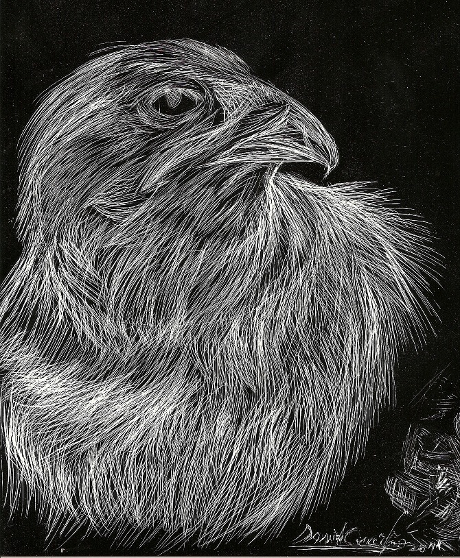 Scientific Illustration - Portfolio