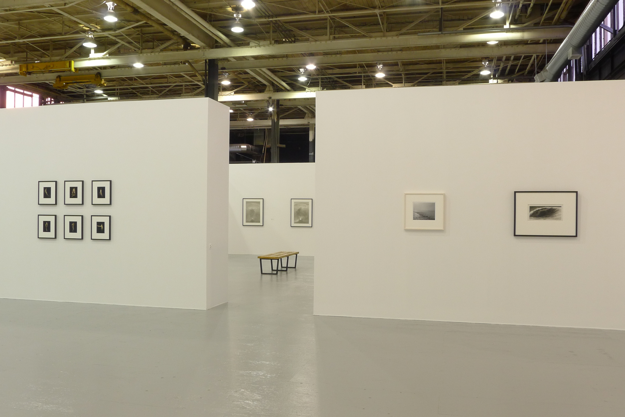 From Nature - Randy Grskovic