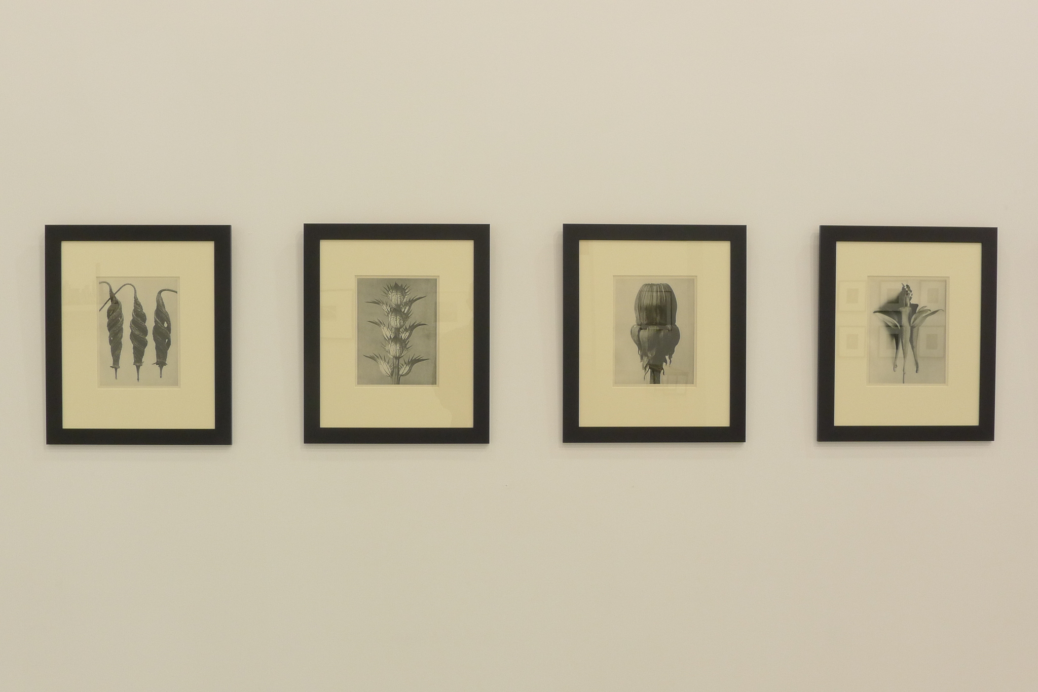 From Nature - Randy Grskovic