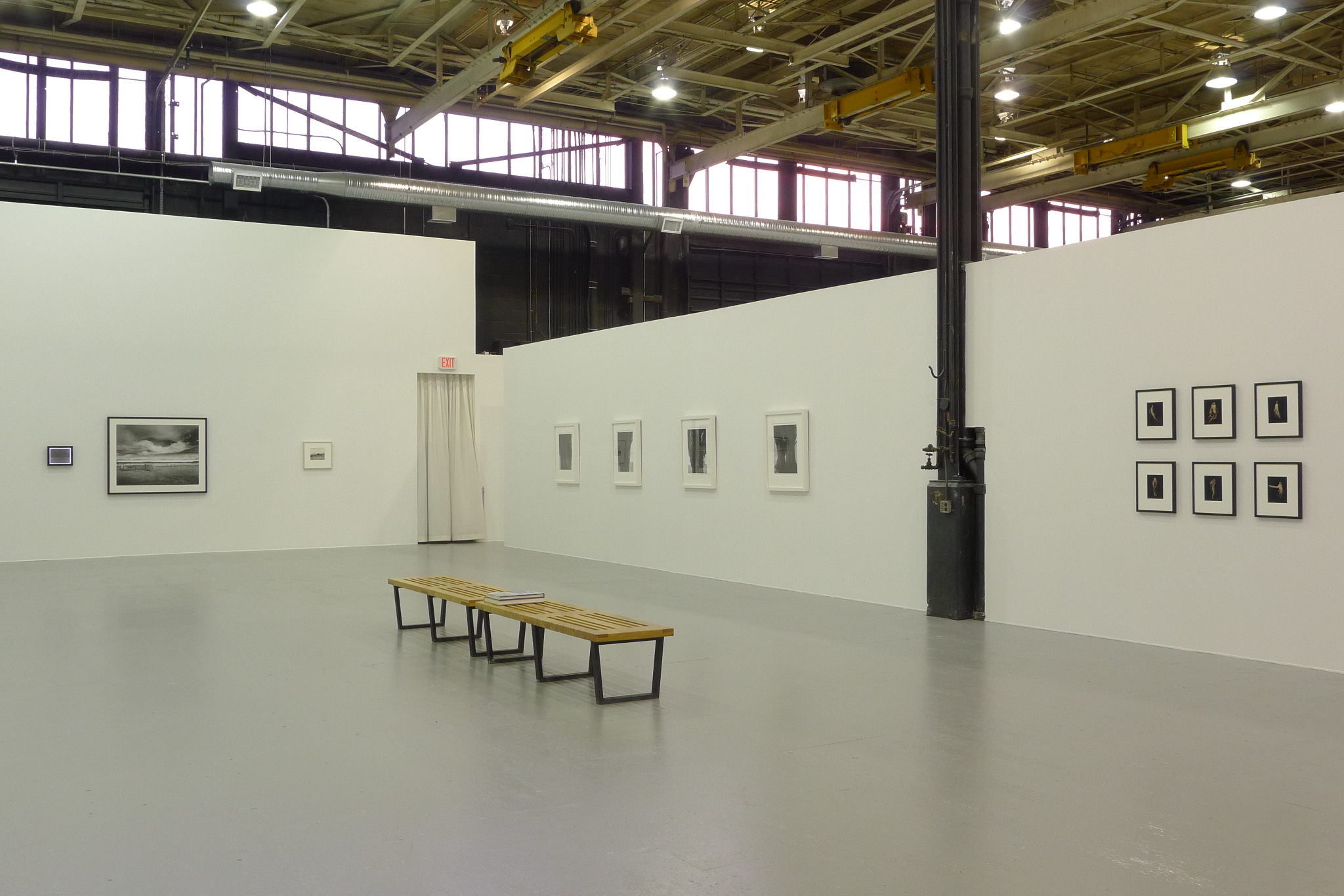 From Nature - Randy Grskovic