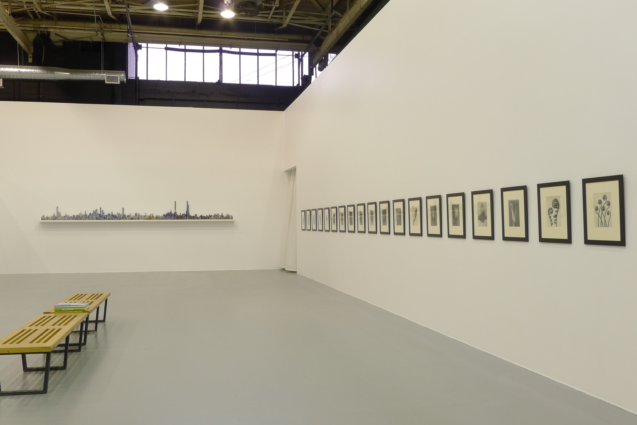 From Nature - Randy Grskovic