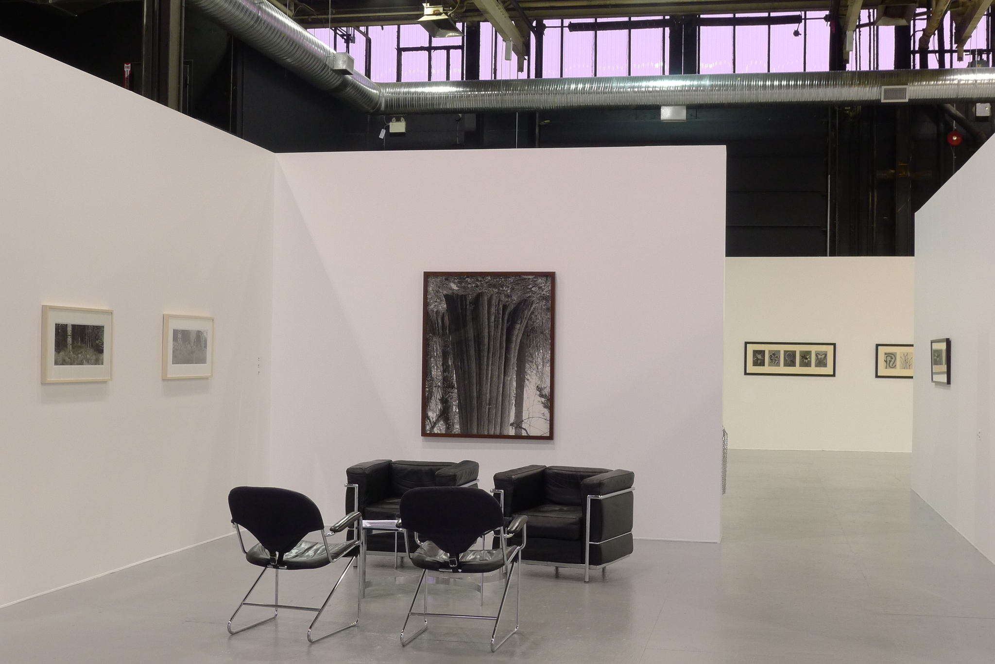 From Nature - Randy Grskovic