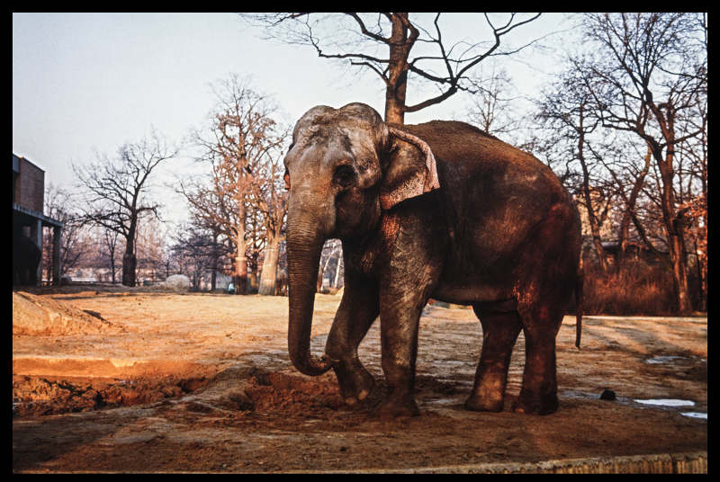 Patrick Lakey Studio