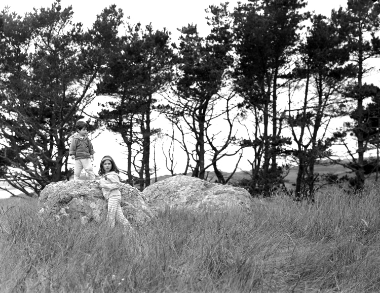 "America, Pastoral" - Patrick Lakey Studio