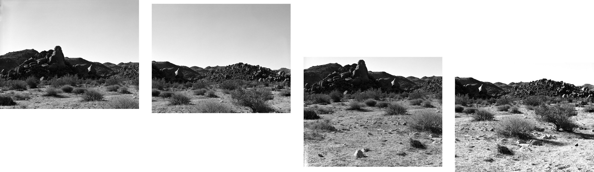 "America, Pastoral" - Patrick Lakey Studio