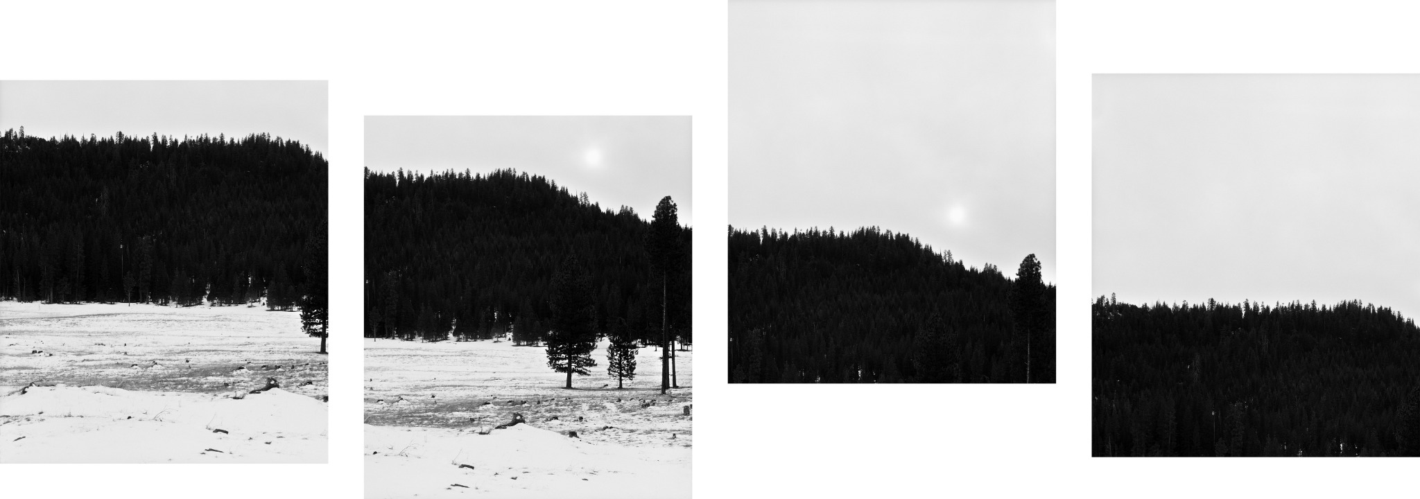 "America, Pastoral" - Patrick Lakey Studio