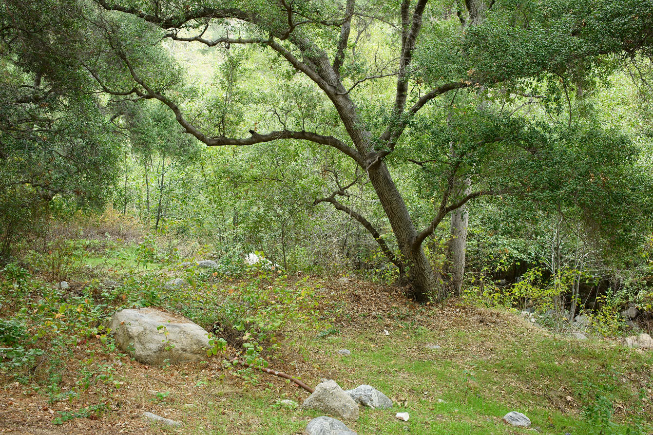 Patrick Lakey Studio