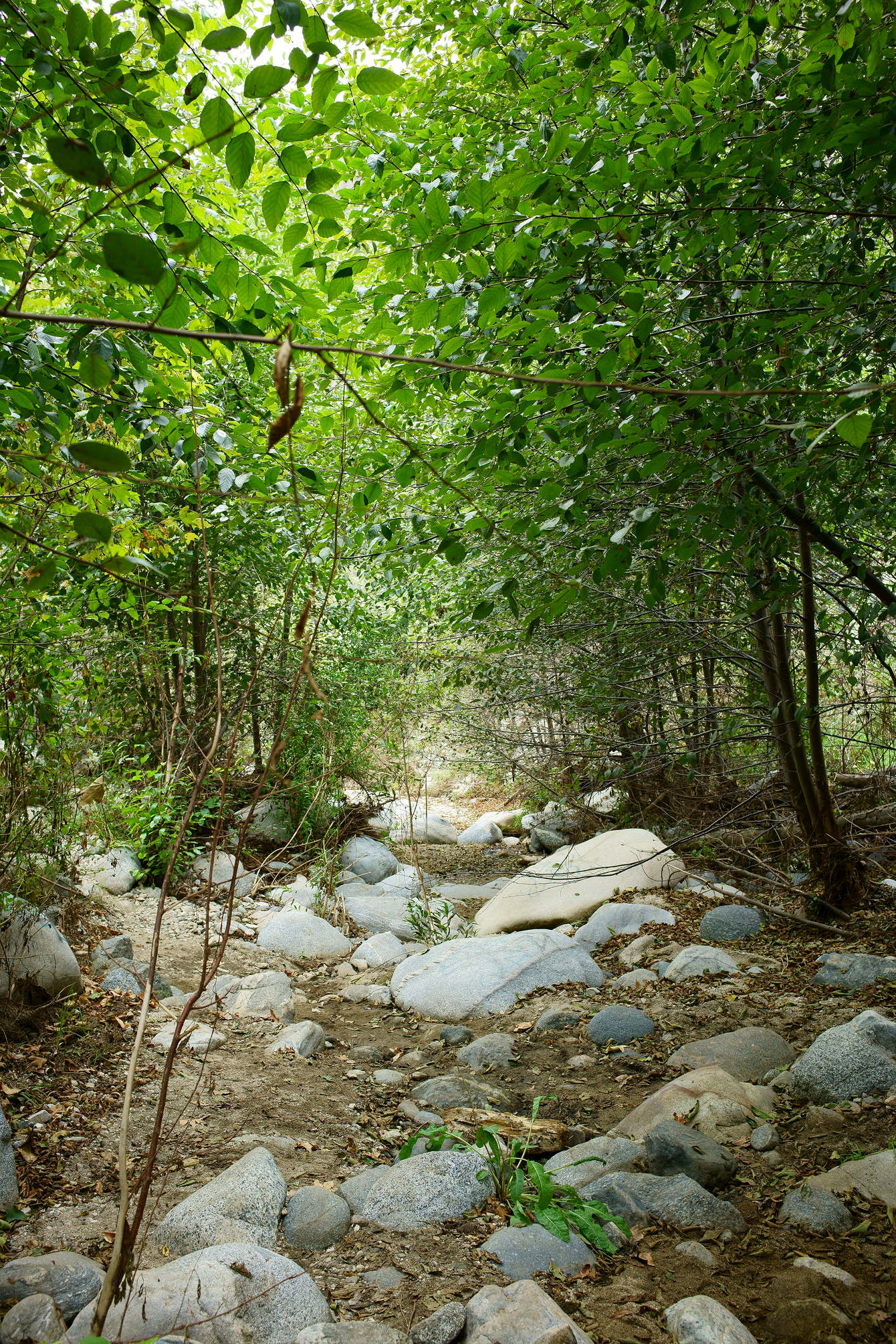 Patrick Lakey Studio