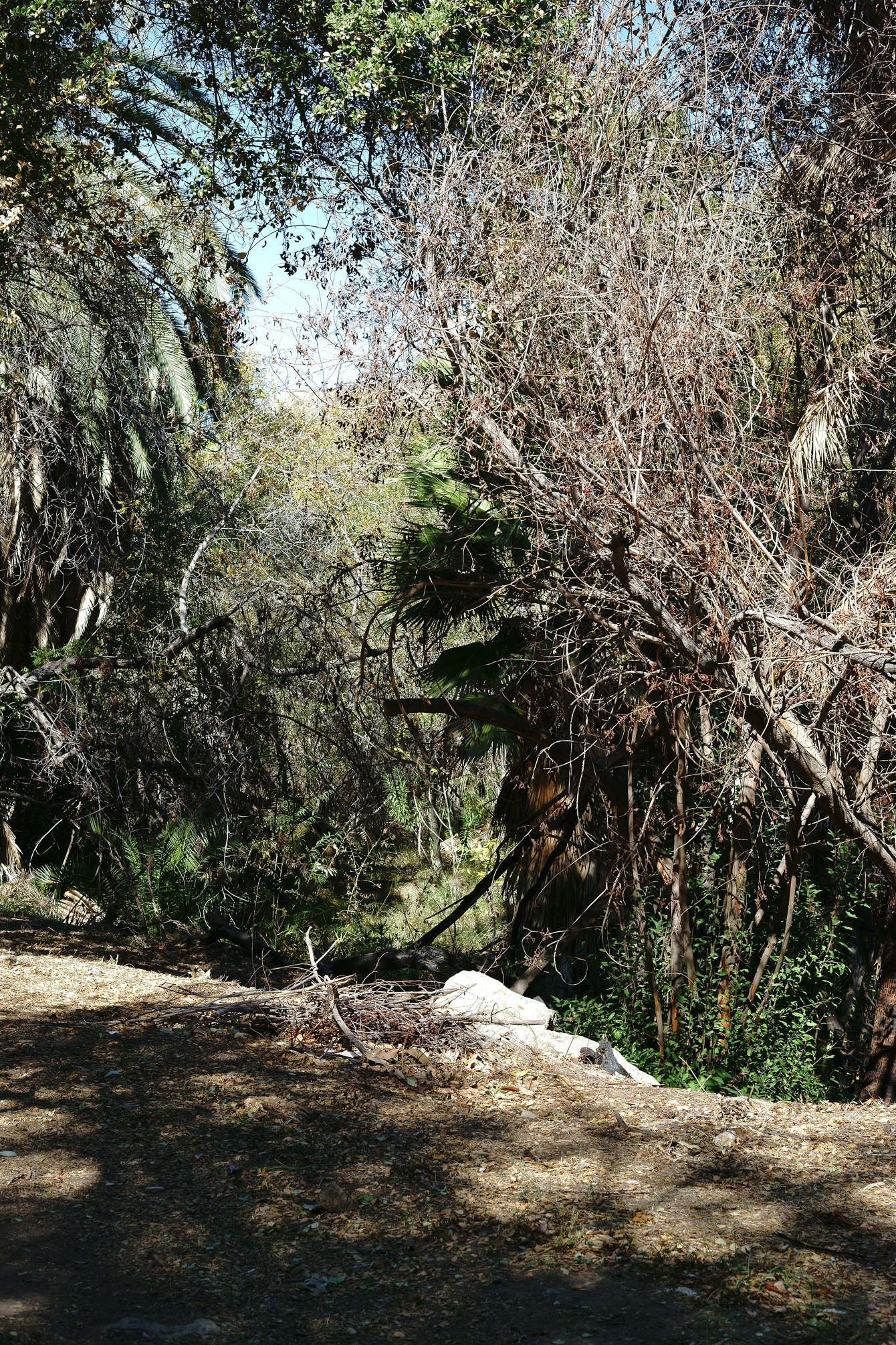 Patrick Lakey Studio