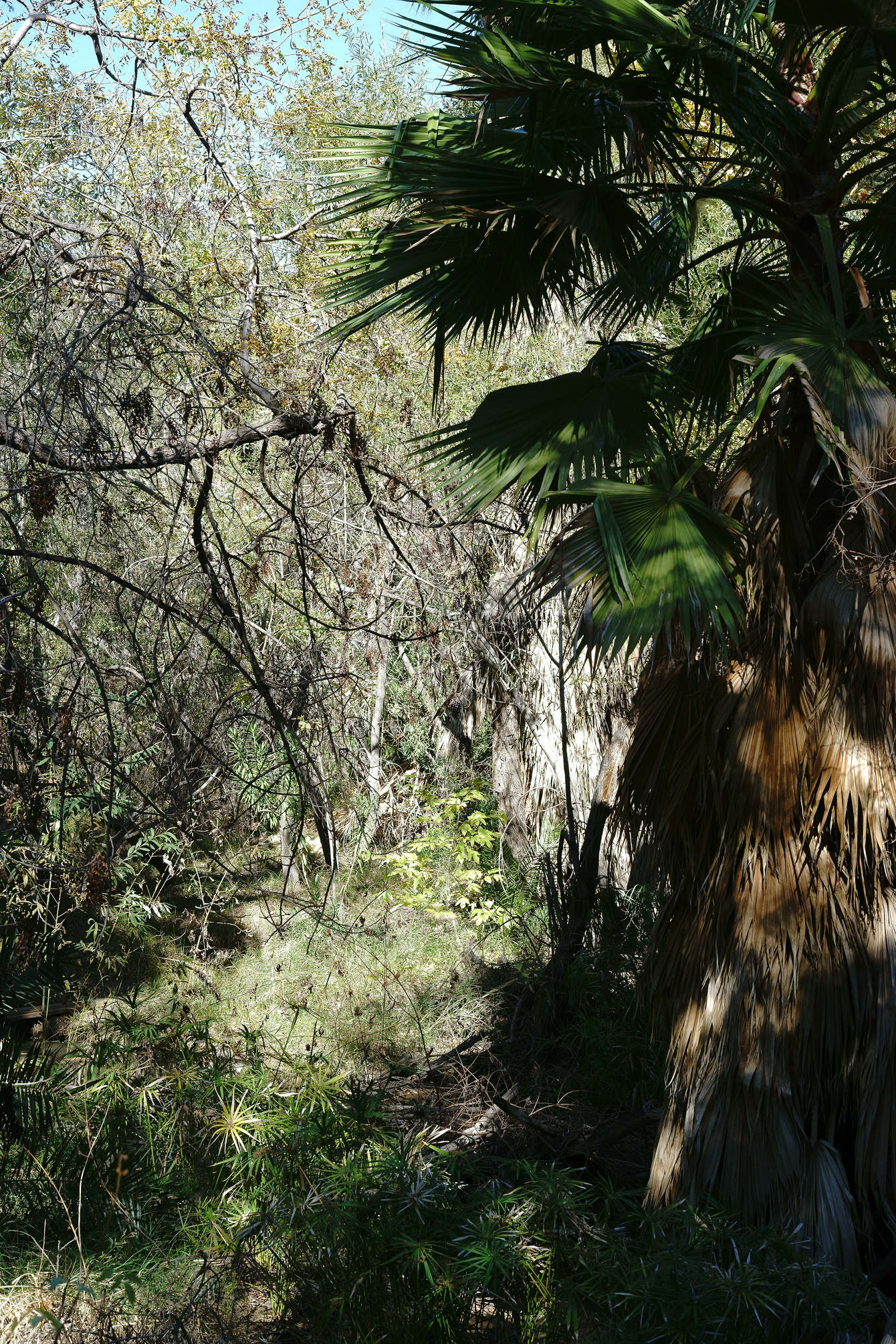 Patrick Lakey Studio